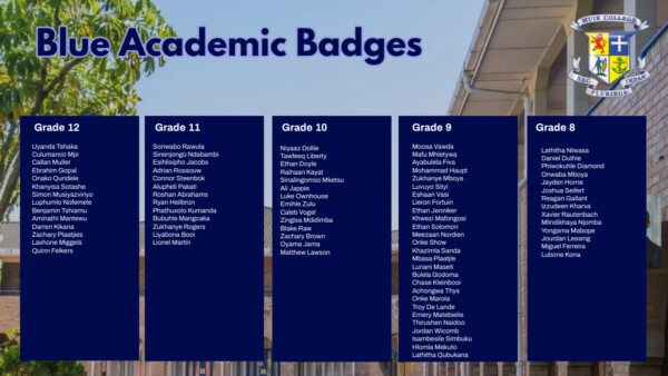 Blue Academic Badges - Muir College